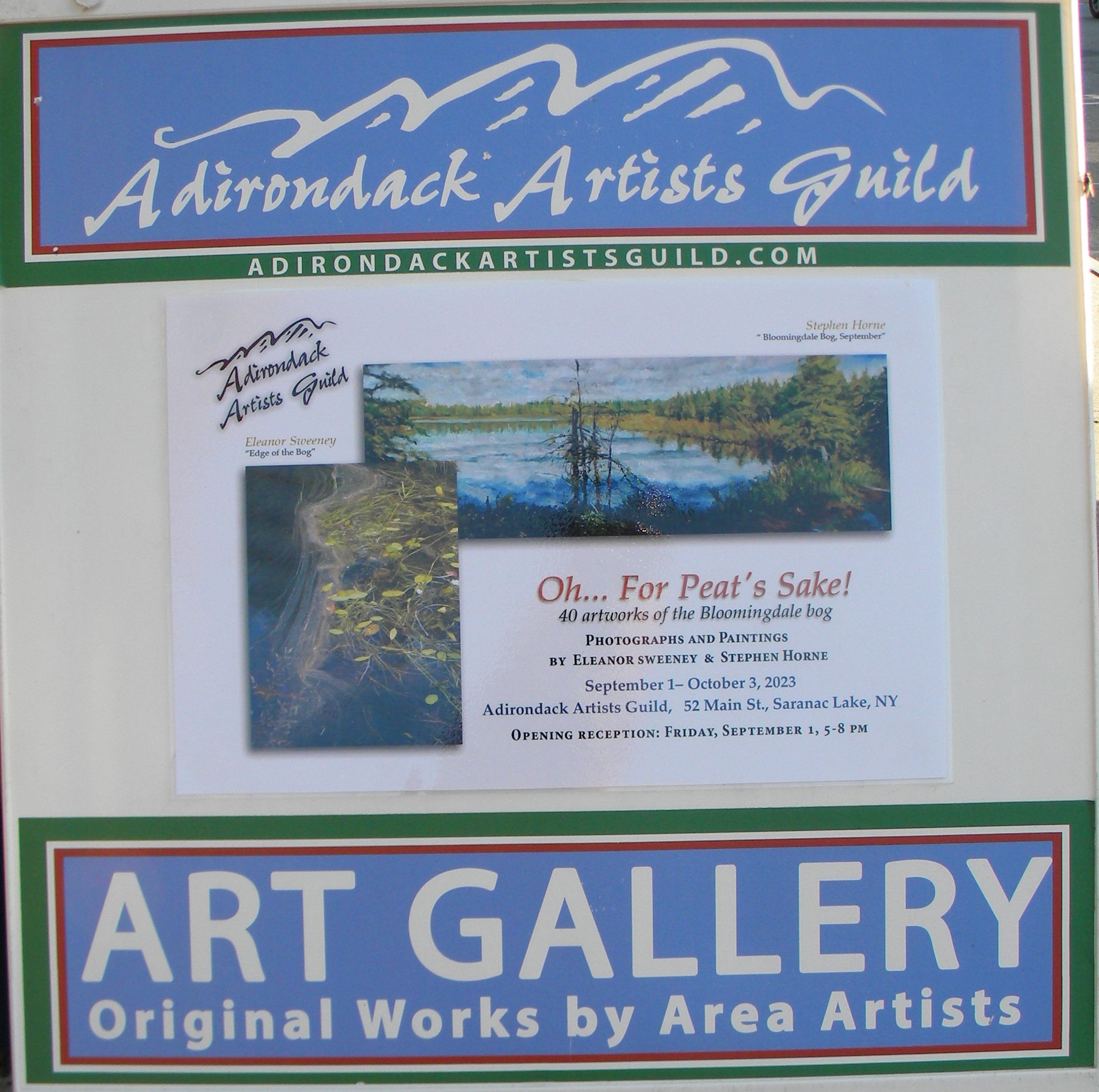 bog art 1 – Adirondack Outlaw